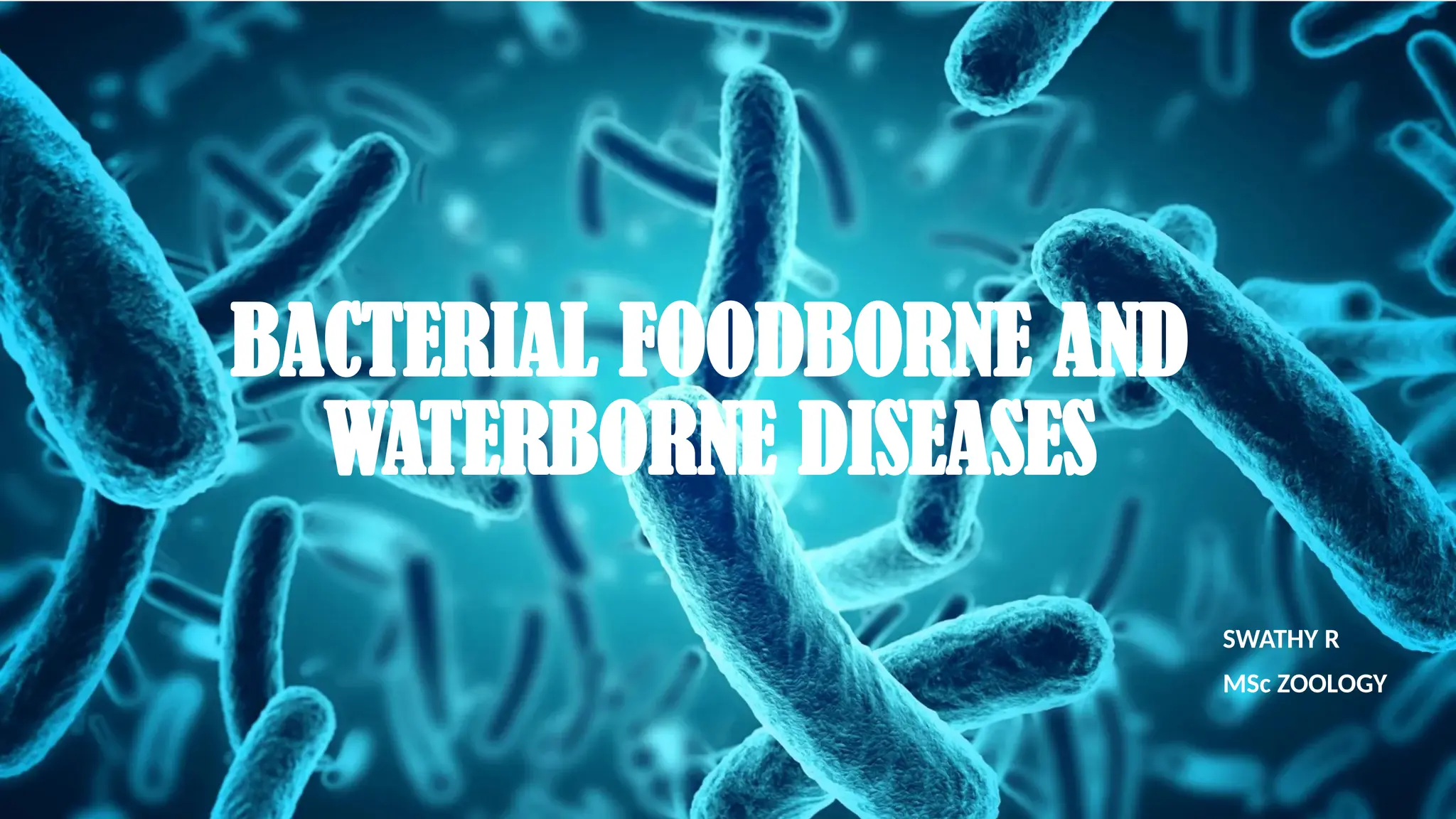 Typhoid fever and Cholera. Symptoms, transmission, diagnosis, treatment ...