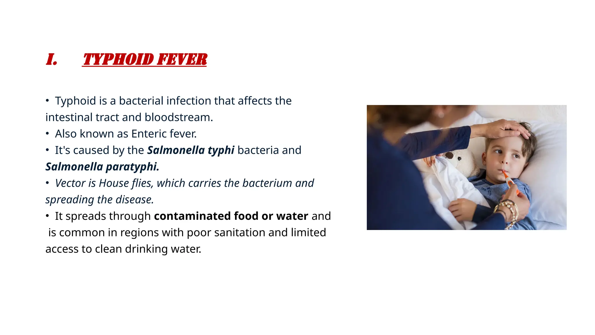 Typhoid fever and Cholera. Symptoms, transmission, diagnosis, treatment ...