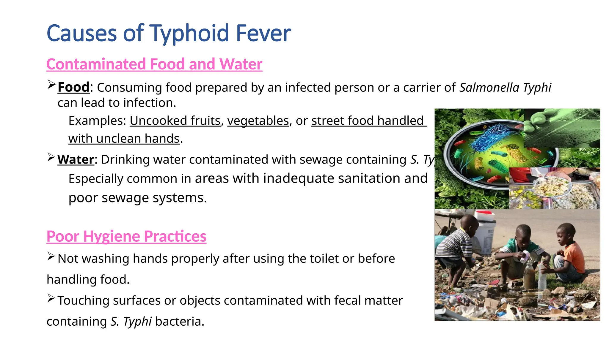 Typhoid fever and Cholera. Symptoms, transmission, diagnosis, treatment ...