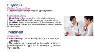 Typhoid fever and Cholera. Symptoms, transmission, diagnosis, treatment ...