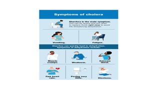 Typhoid fever and Cholera. Symptoms, transmission, diagnosis, treatment ...