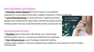 Typhoid fever and Cholera. Symptoms, transmission, diagnosis, treatment ...