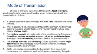 Typhoid fever and Cholera. Symptoms, transmission, diagnosis, treatment ...