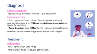 Typhoid fever and Cholera. Symptoms, transmission, diagnosis, treatment ...