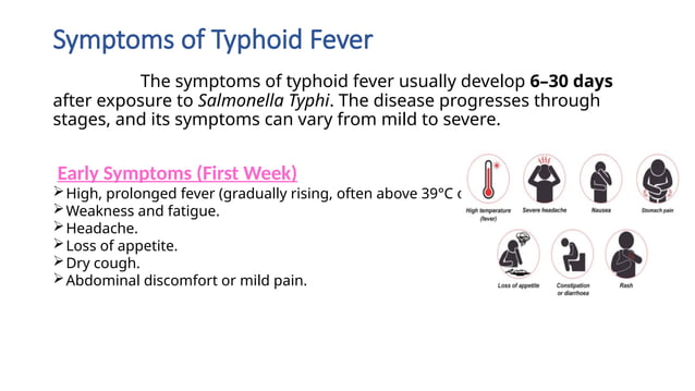 Typhoid fever and Cholera. Symptoms, transmission, diagnosis, treatment ...