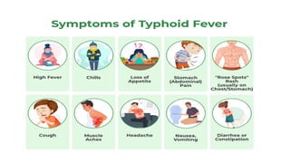 Typhoid fever and Cholera. Symptoms, transmission, diagnosis, treatment ...