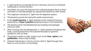 Typhoid fever and Cholera. Symptoms, transmission, diagnosis, treatment ...