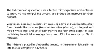 Effective microorgaisms in composting | PPT