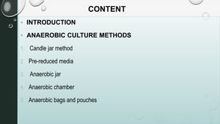 Microbiology ppt[1] | PPT