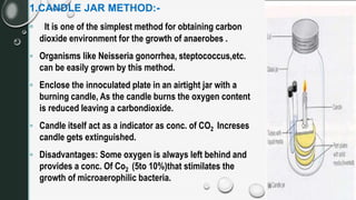 Microbiology ppt[1] | PPTX