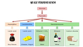 food fermentation with proper details with its essential types, its ...