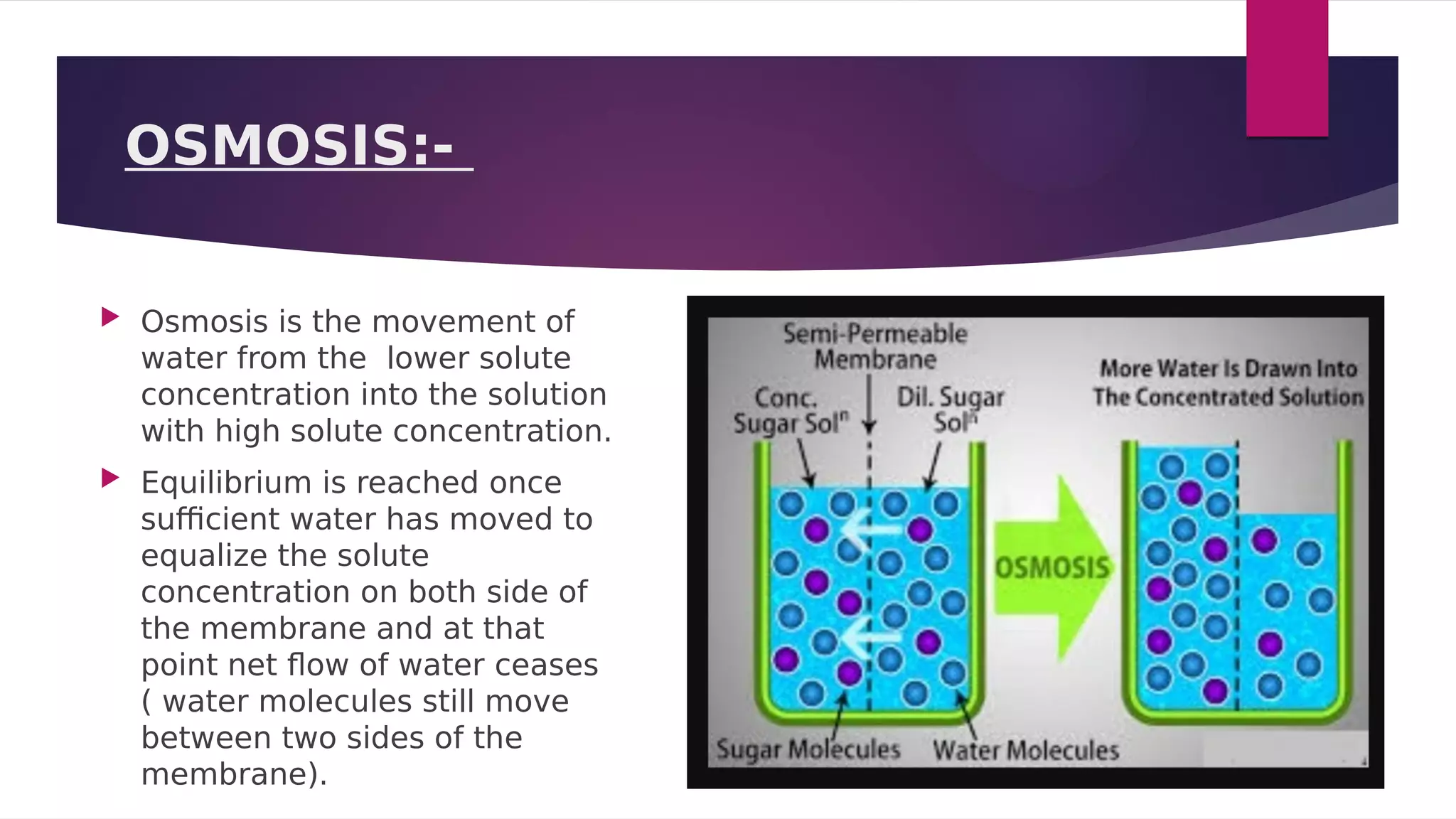 MOISTURE CONTENT, NUTRIENTS AND OSMOSIS | PPT