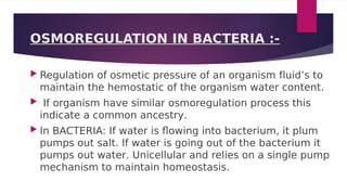 MOISTURE CONTENT, NUTRIENTS AND OSMOSIS | PPT