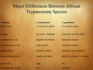 microbiology ppt trypanosoma spp.ppt