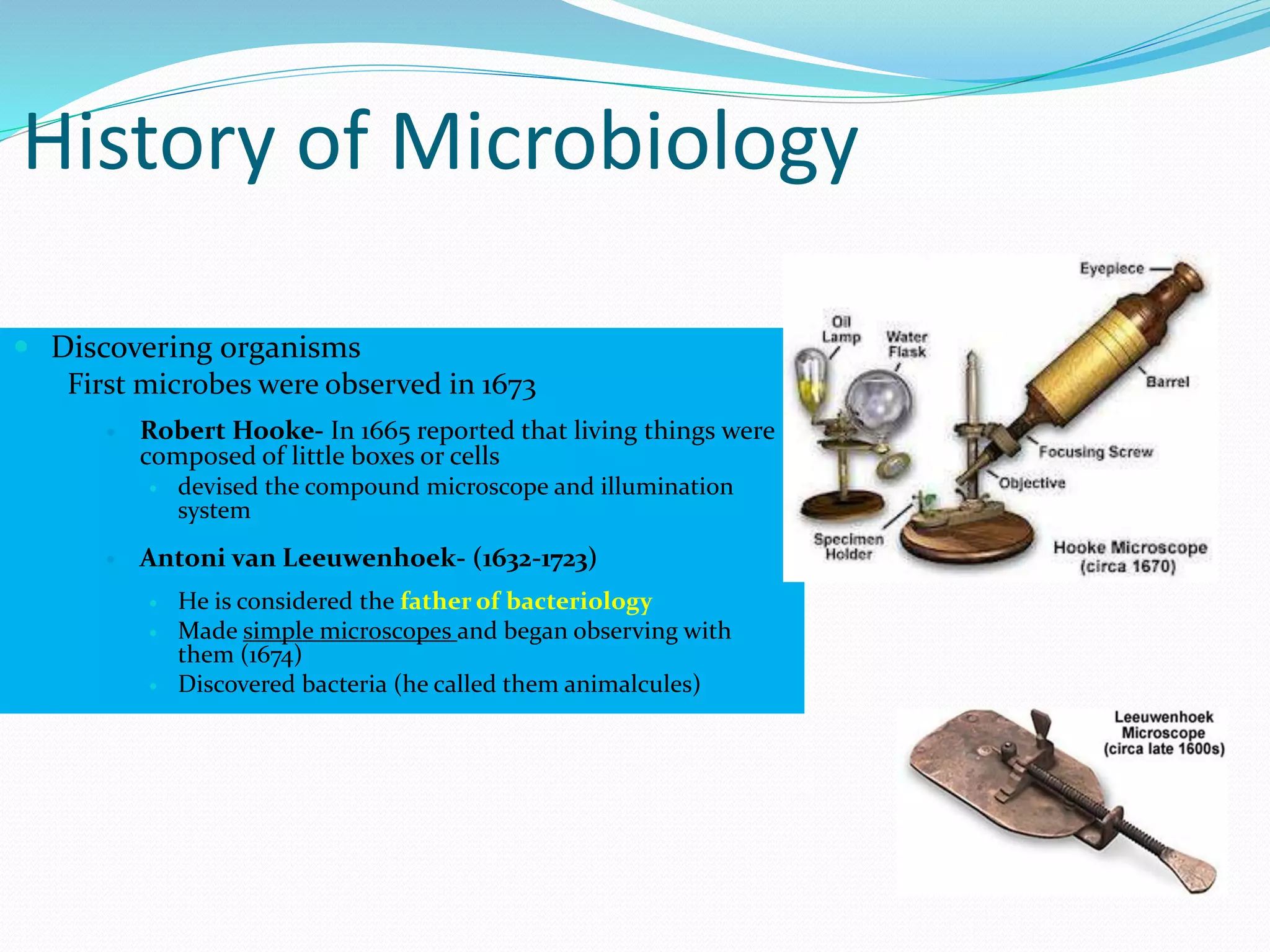 Introduction to Microbiology | PPTX | Biological Sciences | Science