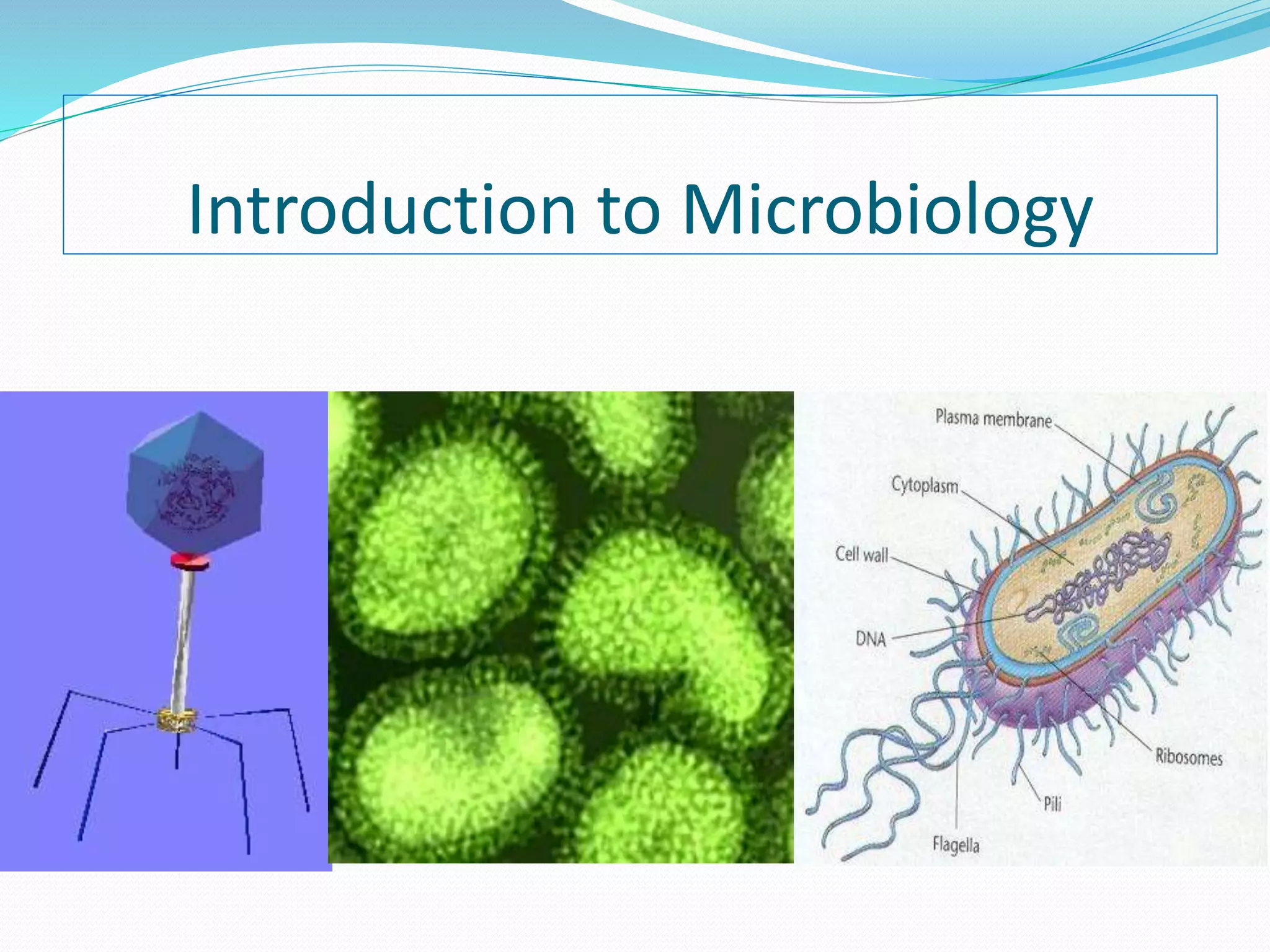 Introduction to Microbiology | PPT