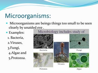 Introduction to Microbiology | PPTX | Biological Sciences | Science