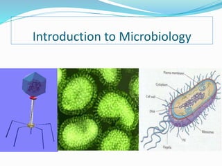 Introduction to Microbiology | PPT