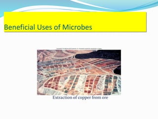 Introduction to Microbiology | PPT