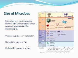 Introduction to Microbiology | PPT