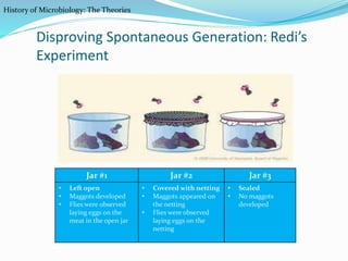 Introduction to Microbiology | PPT