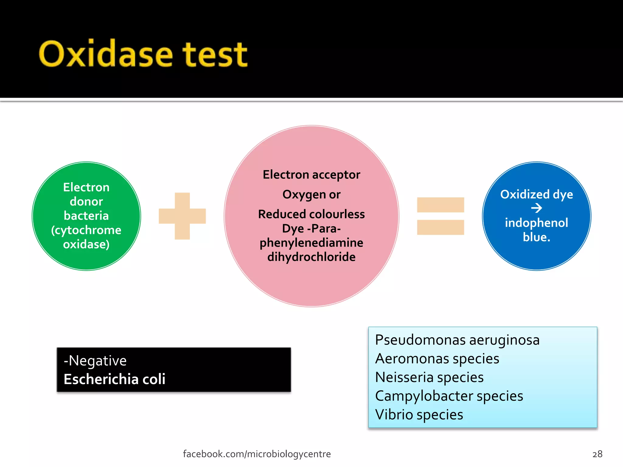 Microbiology practical revision for MBBS : Culture media , Biochemical ...