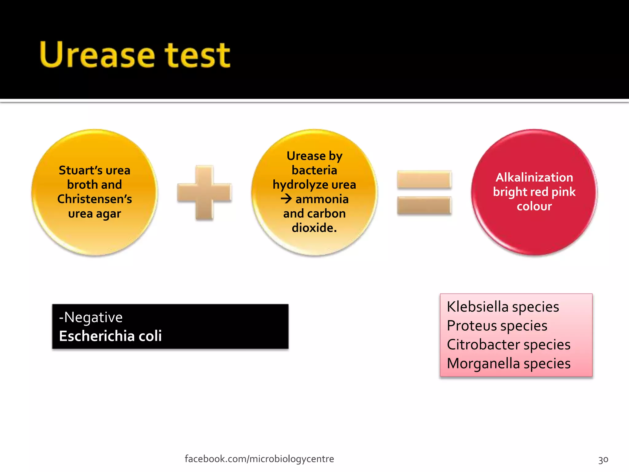 Microbiology practical revision for MBBS : Culture media , Biochemical ...