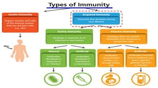 Immunology "Adaptive Immunity" | PPTX