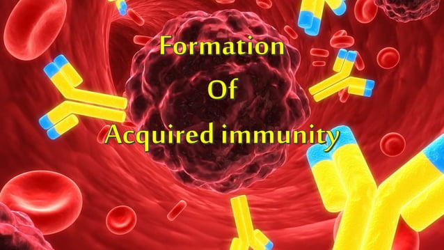 Immunology "Adaptive Immunity" | PPTX | Biological Sciences | Science