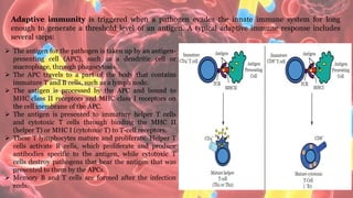 Immunology "Adaptive Immunity" | PPTX