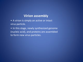 Viruses, Bacteria & their Control Methods | PPTX