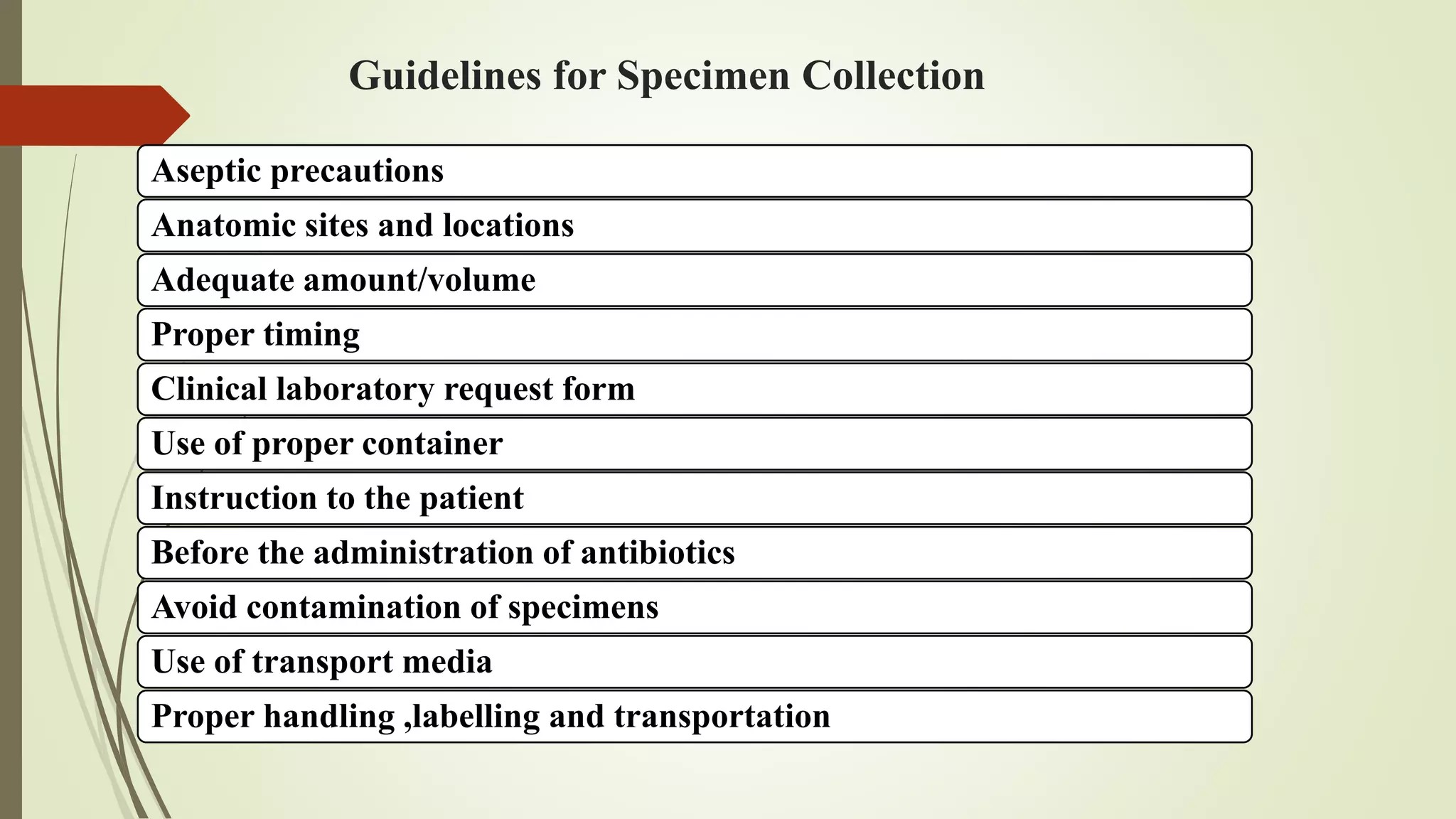Microbiology Presentation.pptx
