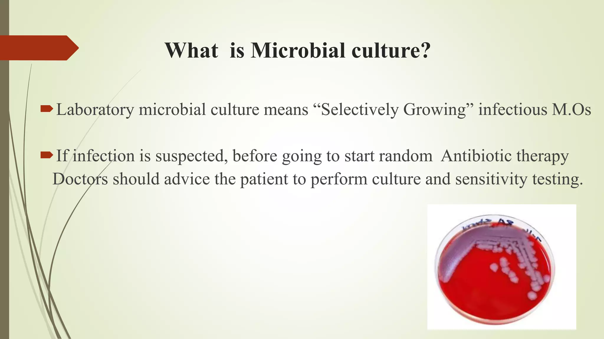 Microbiology Presentation.pptx