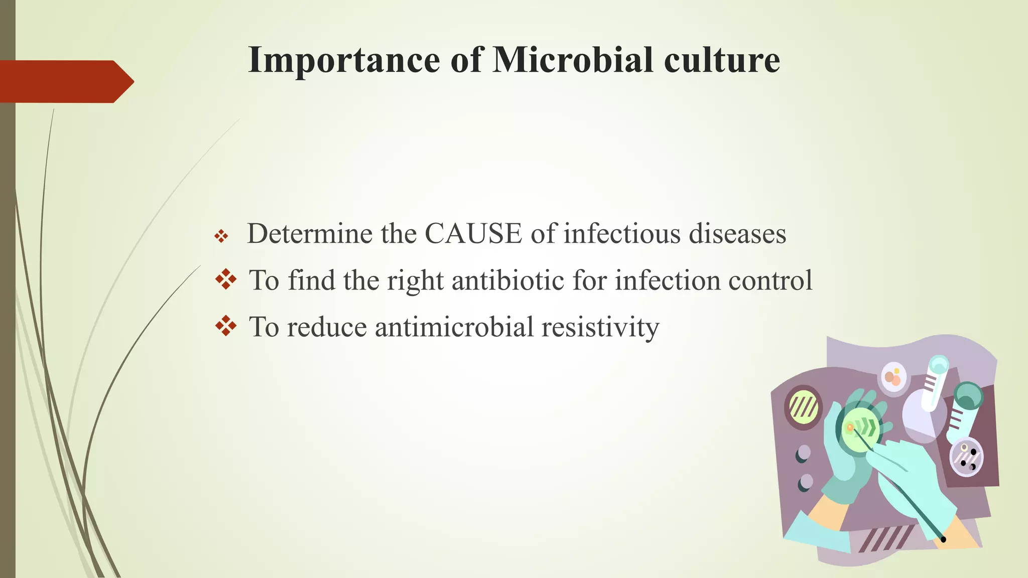 Microbiology Presentation.pptx