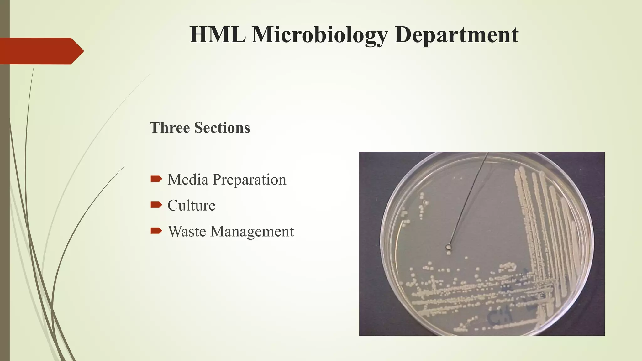 Microbiology Presentation.pptx