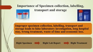 Microbiology Presentation.pptx