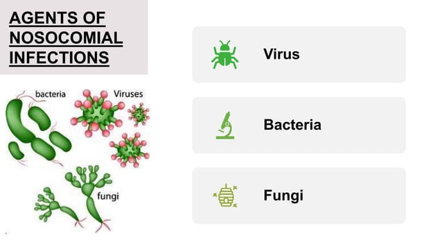 NOSOCOMIAL INFECTIONS / HOSPITAL ACQUIRED INFECTION | PPTX | Infectious ...
