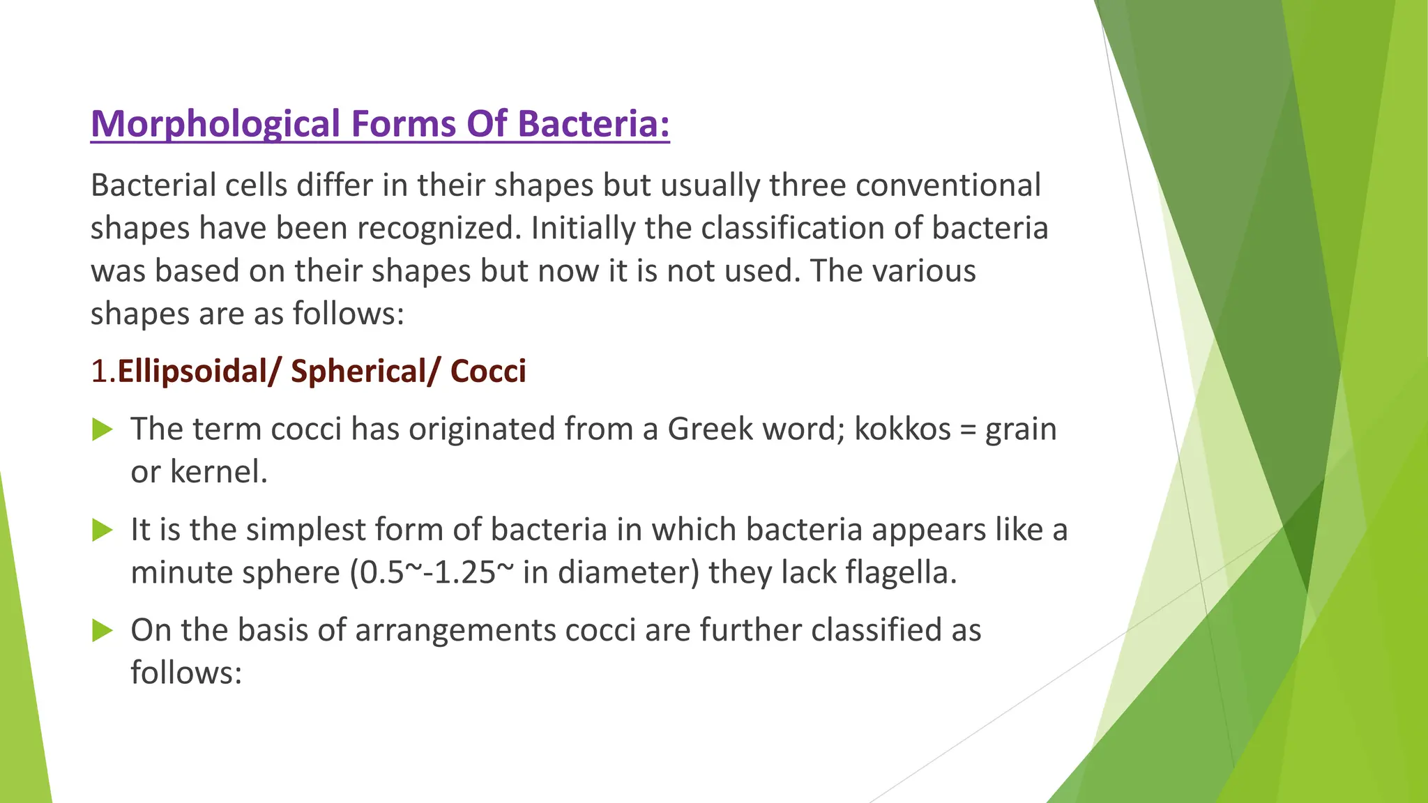 Bacterial morphology and classification.pptx