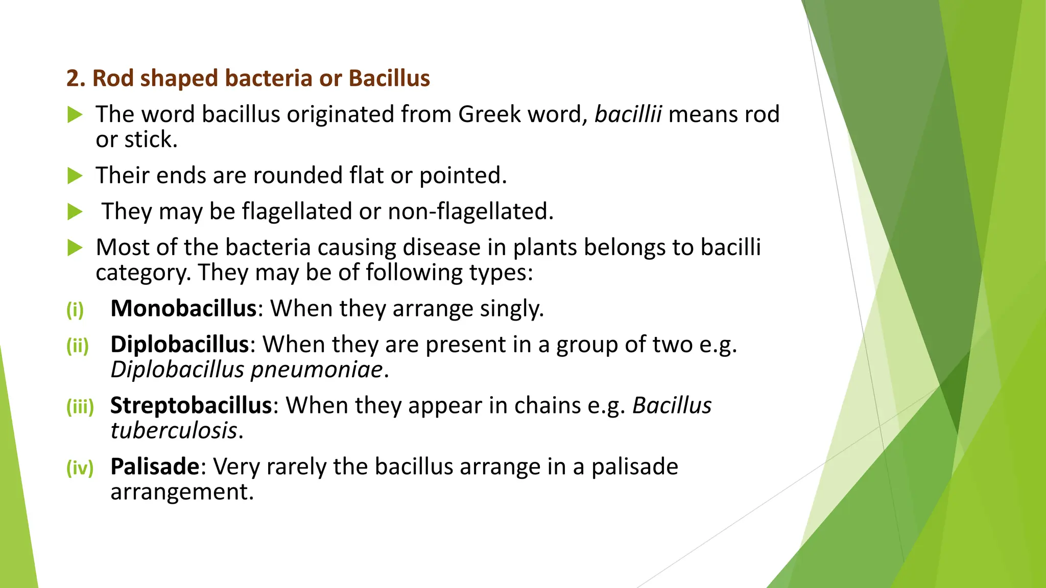 Bacterial morphology and classification.pptx