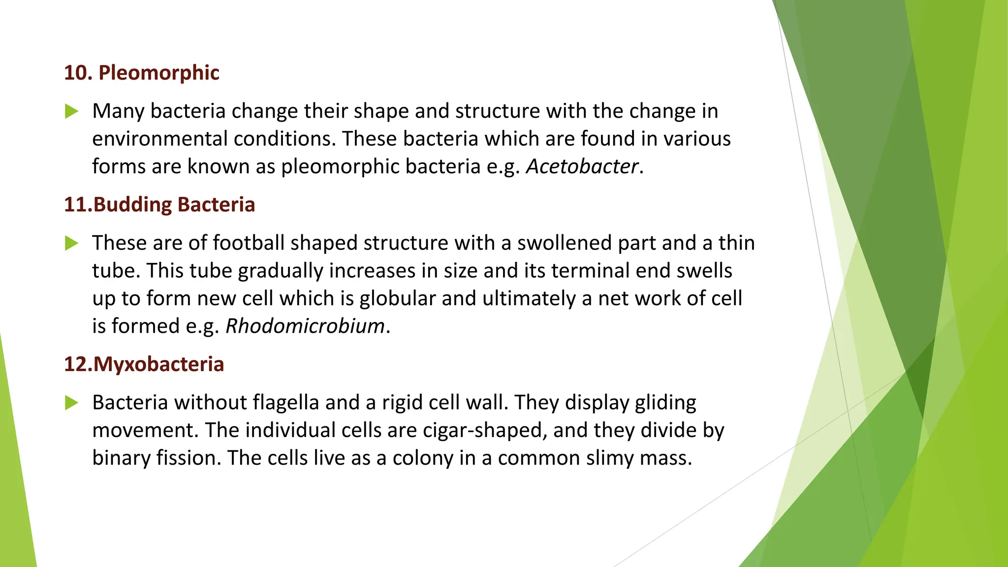 Bacterial morphology and classification.pptx