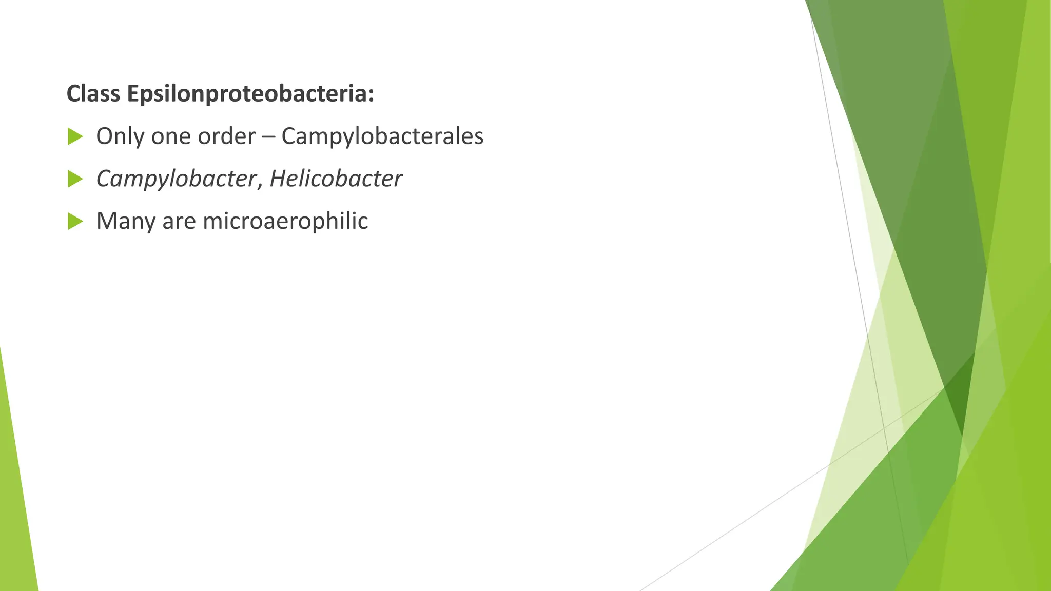 Bacterial morphology and classification.pptx