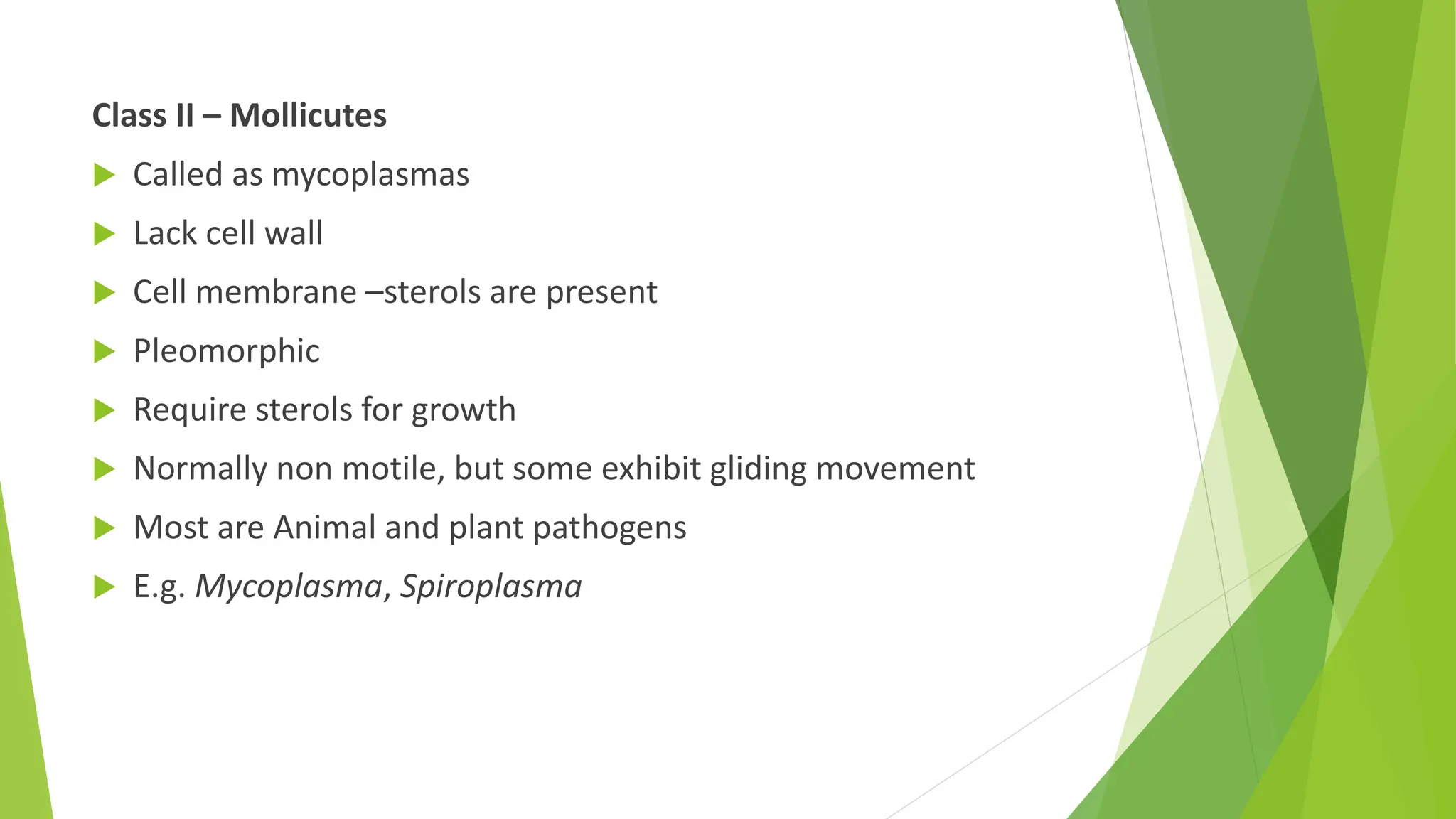 Bacterial morphology and classification.pptx