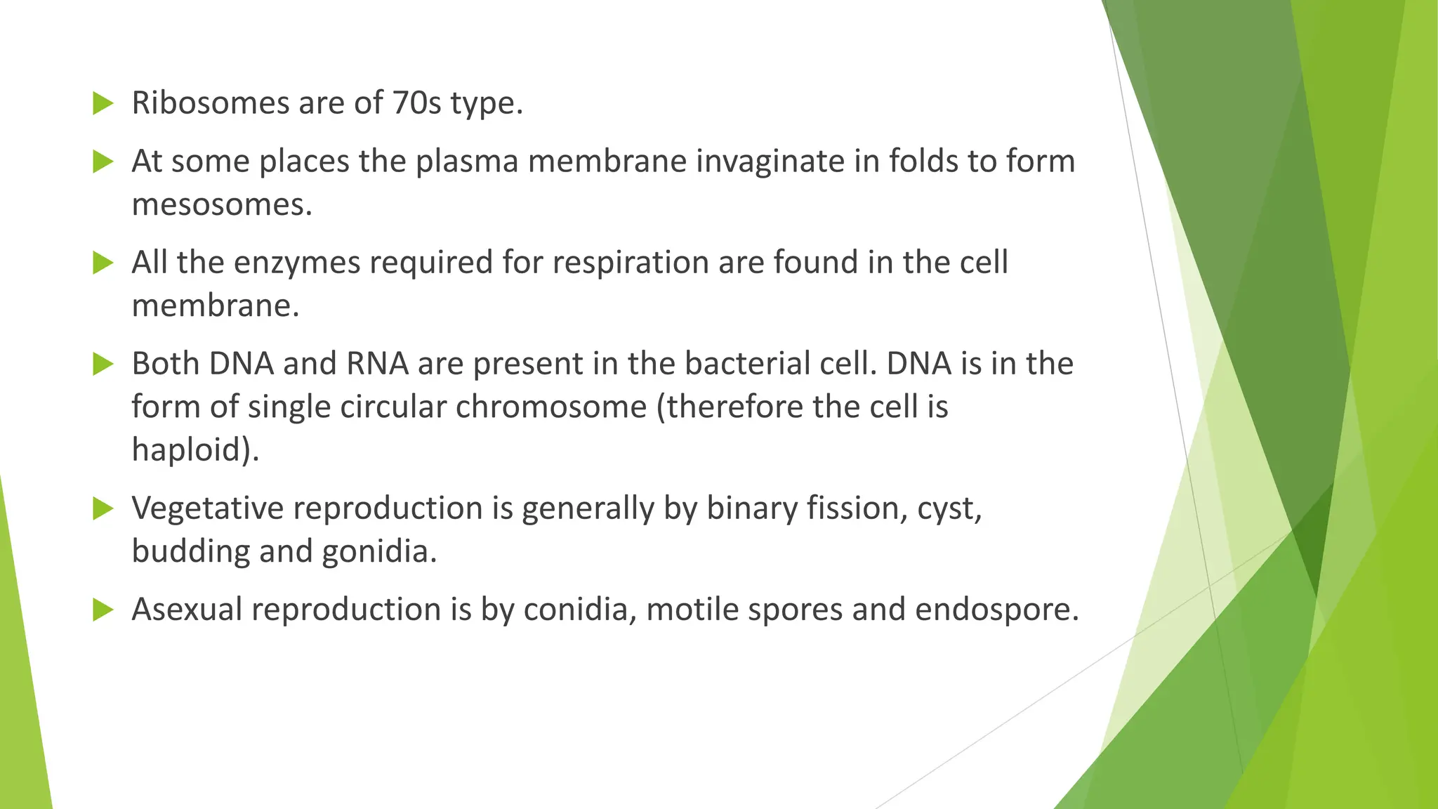 Bacterial morphology and classification.pptx