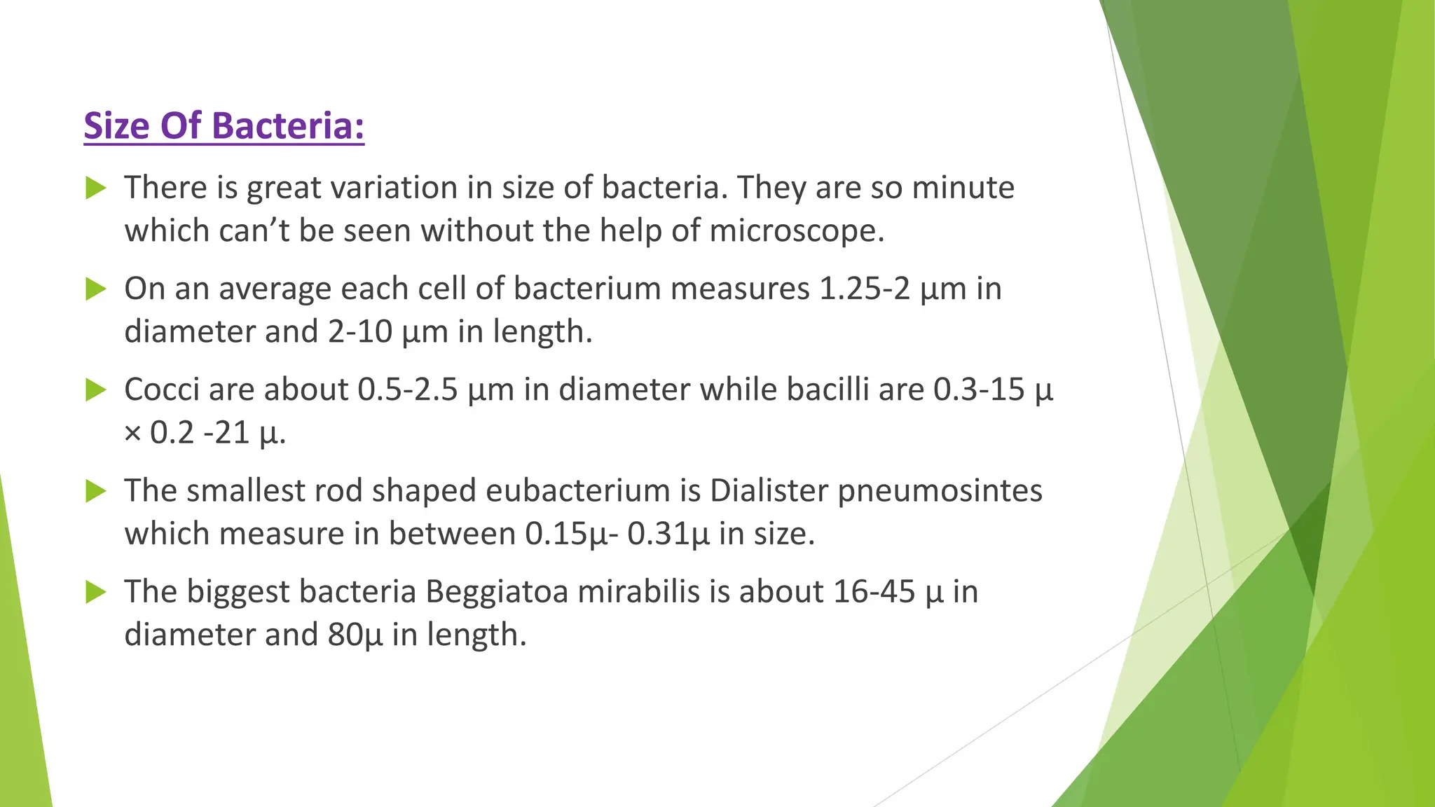 Bacterial morphology and classification.pptx