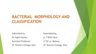 Bacterial morphology and classification.pptx