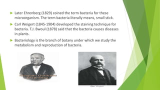 Bacterial morphology and classification.pptx