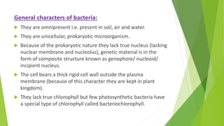 Bacterial morphology and classification.pptx