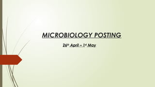 MICROBIOLOGY PRESENTATION.laboratorypptx | PPT