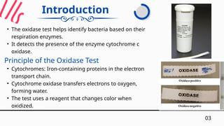 MICROBIOLOGY PRESENTATION on oxidase test for MLT students | PPT