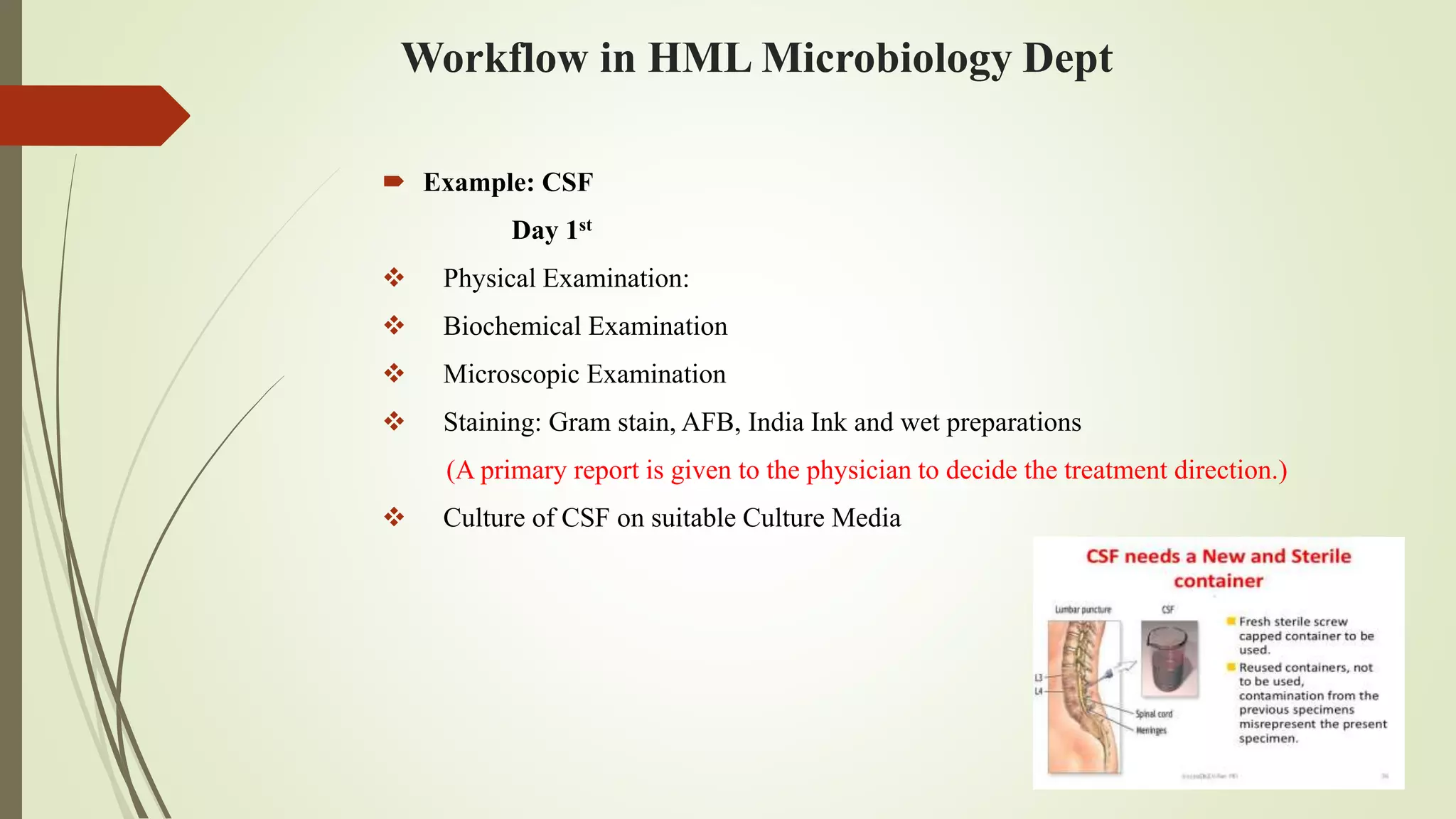 Microbiology Presentation - Copy.pptx